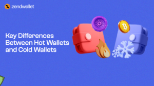 Hot Wallet vs. Cold Wallet – The Key Difference Explained in 2025
