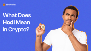 HODL Meaning in Crypto: A Complete and Practical Guide for Long-Term ...